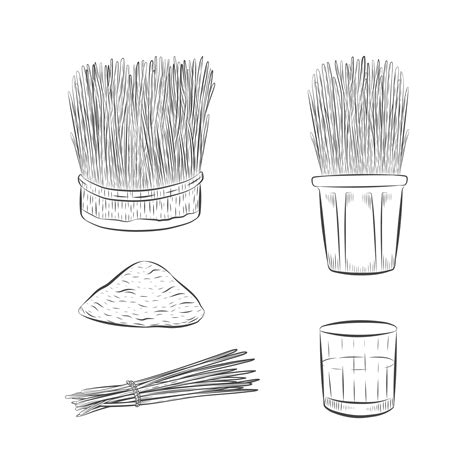 Wheatgrass Growing Vector Collection Glass Of Vitamin Raw Juice 5490350 Vector Art At Vecteezy