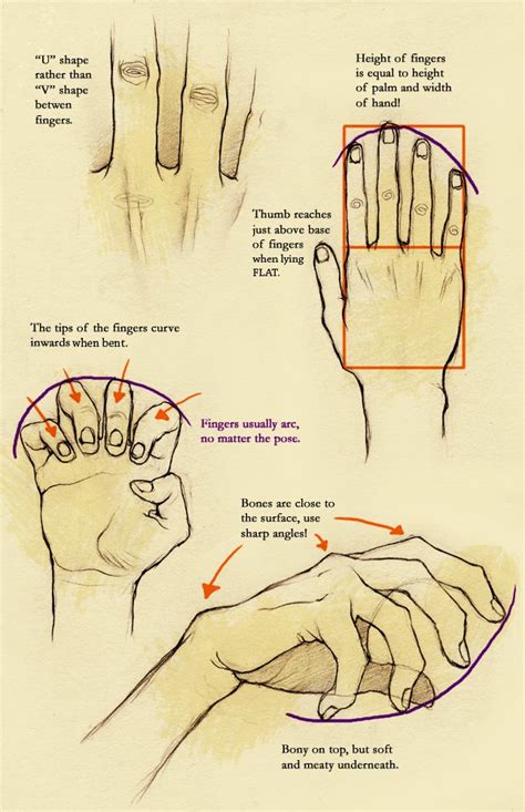 Mini Hand Tutorial By Nk Chan On DeviantART How To Draw Hands Drawing Tips Drawing People