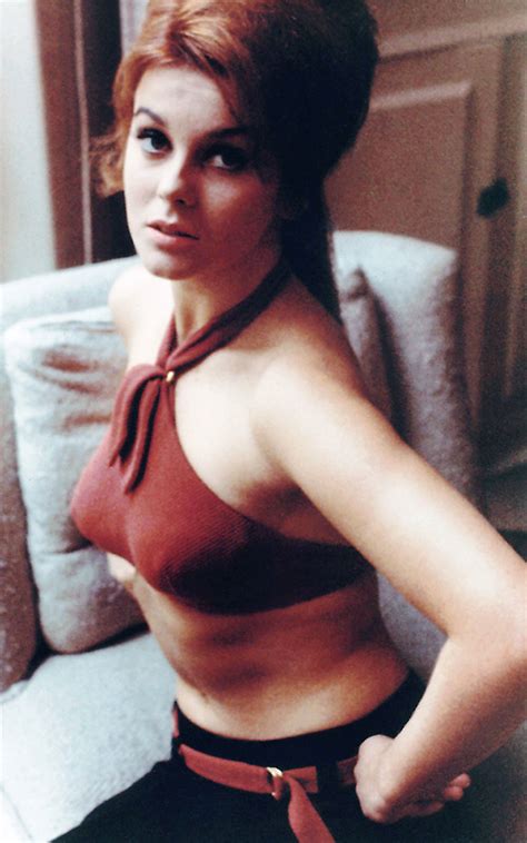 Ann Margret Timeless Beauty In Vintage 1960s Photos