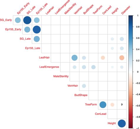 Correlation Formula