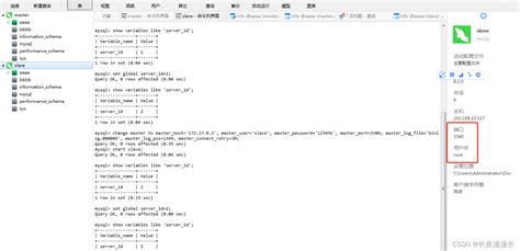 docker部署mysql主从复制篇 docker 挂载mysql cnf到本地 csdn博客