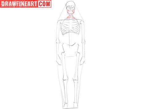 How To Draw A Skeleton Draw Fine Art