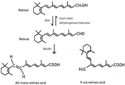 Retinol Reaction With Sun At Kevin Morel Blog