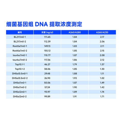 21 Magnetic Bead Based Bacterial Genomic Dna Extraction Kit Vyanabiotech