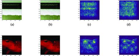Two Examples Of Generating Adversarial Examples To Fool The Saliency Download Scientific