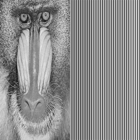 C Magick Reduce Bit Depth Of Grayscale Image Stack Overflow