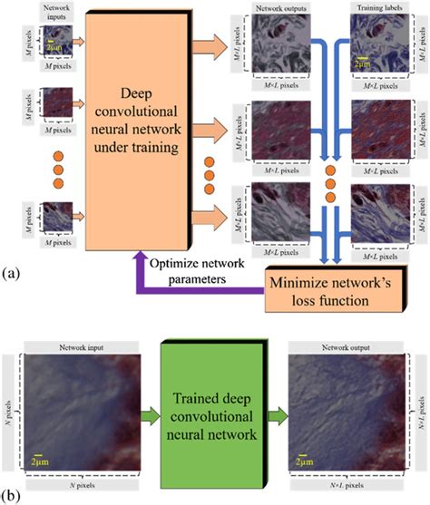 Deep Learning Microscopy