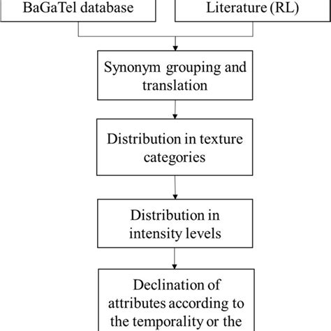 Scheme Of Attribute Grouping Steps Origin Of Attributes Grouping Into Download Scientific