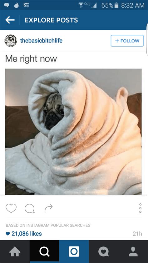 Trolls I Had Sex Last Night For The First Time And Theres No One I Can Tell Irl That Will Be