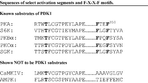 Sequence Alignment Of Select Pdk 1 Substrate Activation Loops The