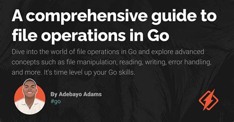 A Comprehensive Guide To File Operations In Go Honeybadger Developer Blog