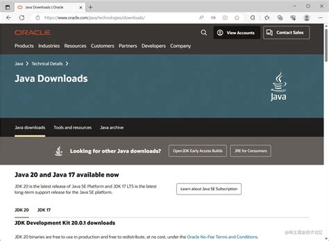Jdk11 官网下载（内含资源路径）我们要学习java语言去开发 Java 程序，就需要先下载 Jdk，jdk 是 Ja 掘金