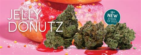 Jelly Donutz Weed Strain Noa Botanicals