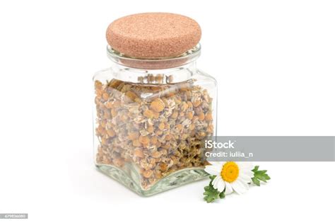 신선한 카모마일 꽃 흰색 배경에 고립 된 항아리에 건조 허브 카모마일 차 0명에 대한 스톡 사진 및 기타 이미지 0명 건강관리와 의술 건강한 식생활 Istock