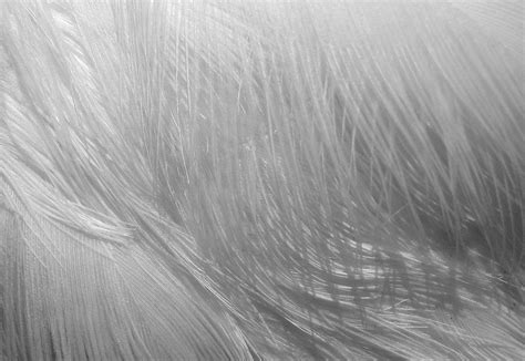 fine white trails opacity flickr