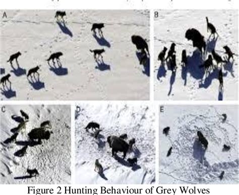 figure 2 from review on reactive power dispatch using particle swarm optimization pso and grey