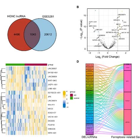 Evaluation And Visualization Of Immune Cell Infiltration And The
