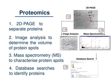 Ppt Xml Standards For Proteomics Data Powerpoint Presentation Free