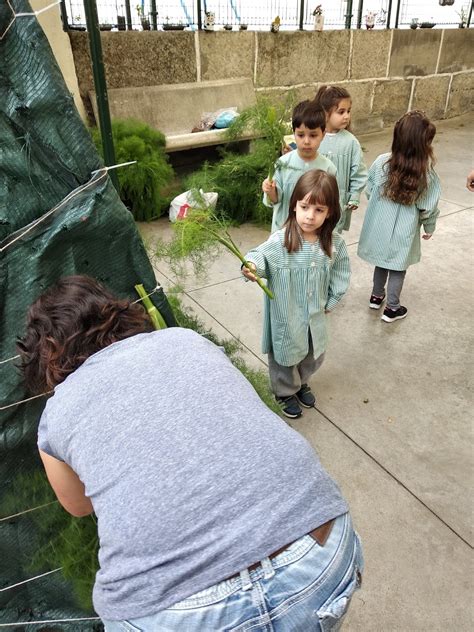 As Migui As Dixitais