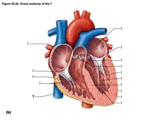 Lab Lesson 4 5 Diagram Quizlet