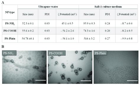 Characterization Of The Functionalized Polystyrene Ps Nanoplastics