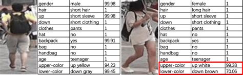 Two Examples Of Person Attribute Recognition Both Tables Have Three Download Scientific