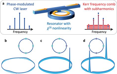 Dissipative Discrete Time Crystals Dtcs In An Optical Kerr Nonlinear Download Scientific