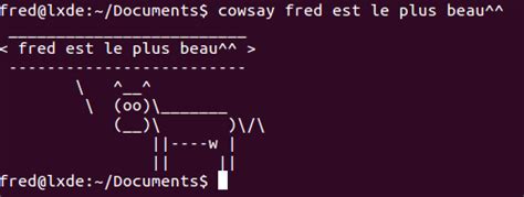 ASCII Art Sous Linux Memo Linux