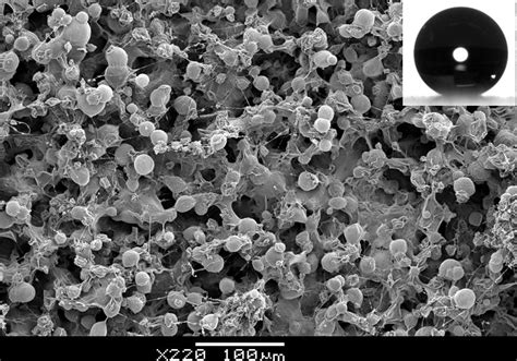 Electron Microscope Molecule