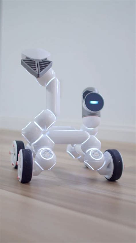 걷고 있는 과학 기술 로봇 미래적인 수직 비디오 움직이는 원목 바닥 인공지능 자동 장난감 전자 클릭봇 혁신적인 확대에 관한 무료 스톡 동영상