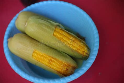 Boiled Corn Stock Image Image Of Agriculture Yellow 261089085
