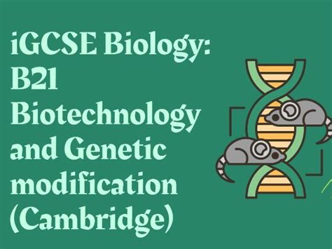 Igcse Biology B21 Biotechnology And Genetic Modification Cambridge Teaching Resources