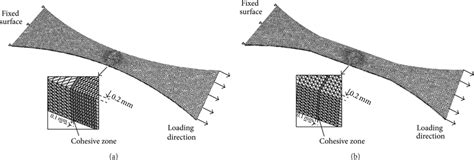 Three Dimensional Finite Element Models With A Cohesive Zone Download Scientific Diagram