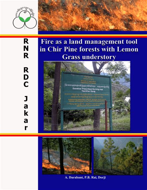 Pdf Fire As A Land Management Tool In Chir Pine Forests With Lemon