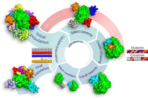 figure 1 from a memetic algorithm enables global all atom protein protein docking with