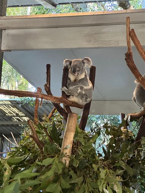 해외기고 오빠 부부의 첫 호주 나들이 월드코리안뉴스