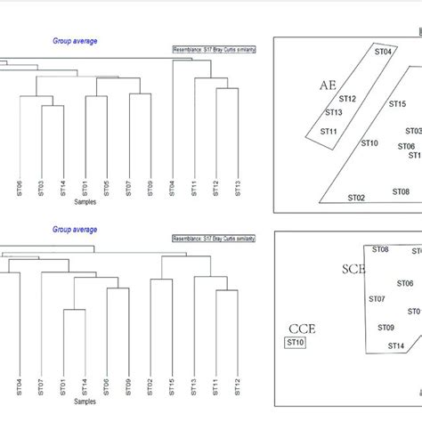 Cluster Analysis Based On The Bray Curtis Similarity Of Abundance At