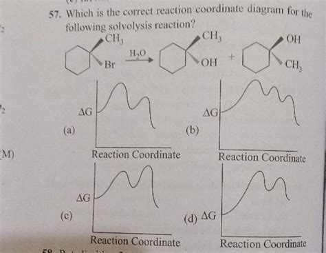 Which Is The Correct Reaction Coordinate Diagram For The Following Solvol