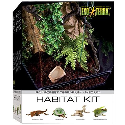 Best Dart Frog Terrarium Kit The Pet Supply Guy