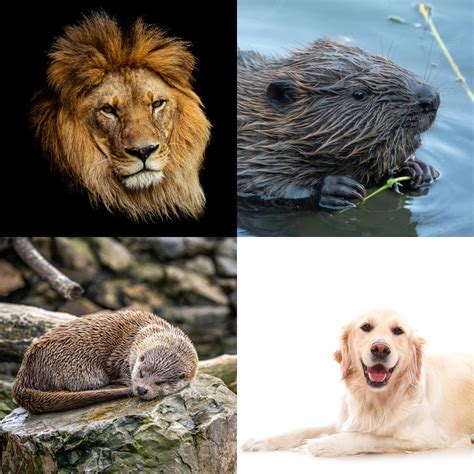 Working With And Teaching Different Personalities Tips Of Wisdom