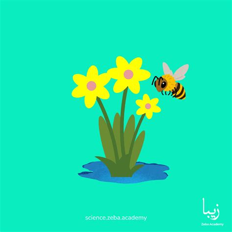 The Power Of Pollinators Investigating The Vital Role Of Bees