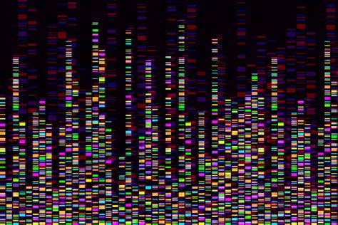 Dna 테스트 인포그래픽 벡터 그림입니다 게놈 서열 맵 설계용 템플릿입니다 배경 배경 화면 바코드 빅 유전체 데이터 시각화 Dna에 대한 스톡 벡터 아트 및 기타 이미지