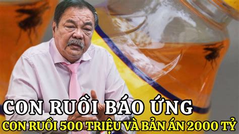 Con RuỒi BÁo Ứng TẬp ĐoÀn TÂn HiỆp PhÁt Con RuỒi GiÁ 500 TriỆu VÀ BẢn