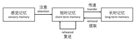 记忆的分类及其理论模型 知乎