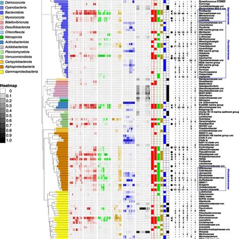 Cultivable Phycosphere Bacteria Depending On Macroalgal Host Season