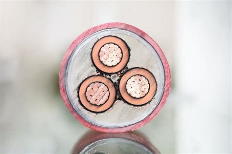 Cross Section Of High Voltage Cable Stock Photo Image Of Insulator Cable