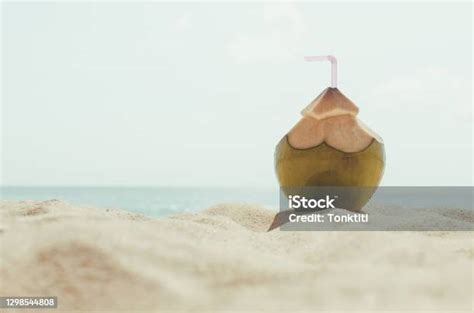 모래 해변에서 코코넛 프리루트 음료 여름 휴가 및 여행 개념 0명에 대한 스톡 사진 및 기타 이미지 0명 건강한 식생활 과일 Istock