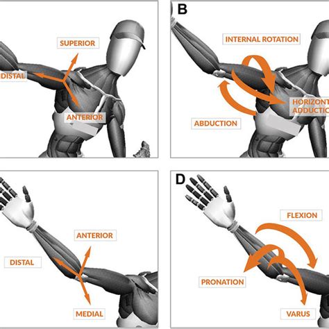Illustration Of The Ways In Which Pelvis And Trunk Kinematic Data Were