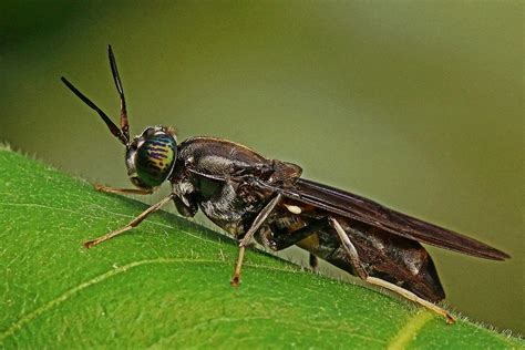 Ankith Kumar Posted On Linkedin