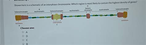 Solved Shown Here Is A Schematic Of An Interphase